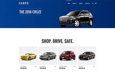 Carpo - Experience International